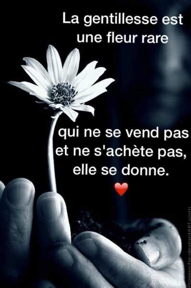 La gentillesse est une clef qui ouvre tous les cœurs....